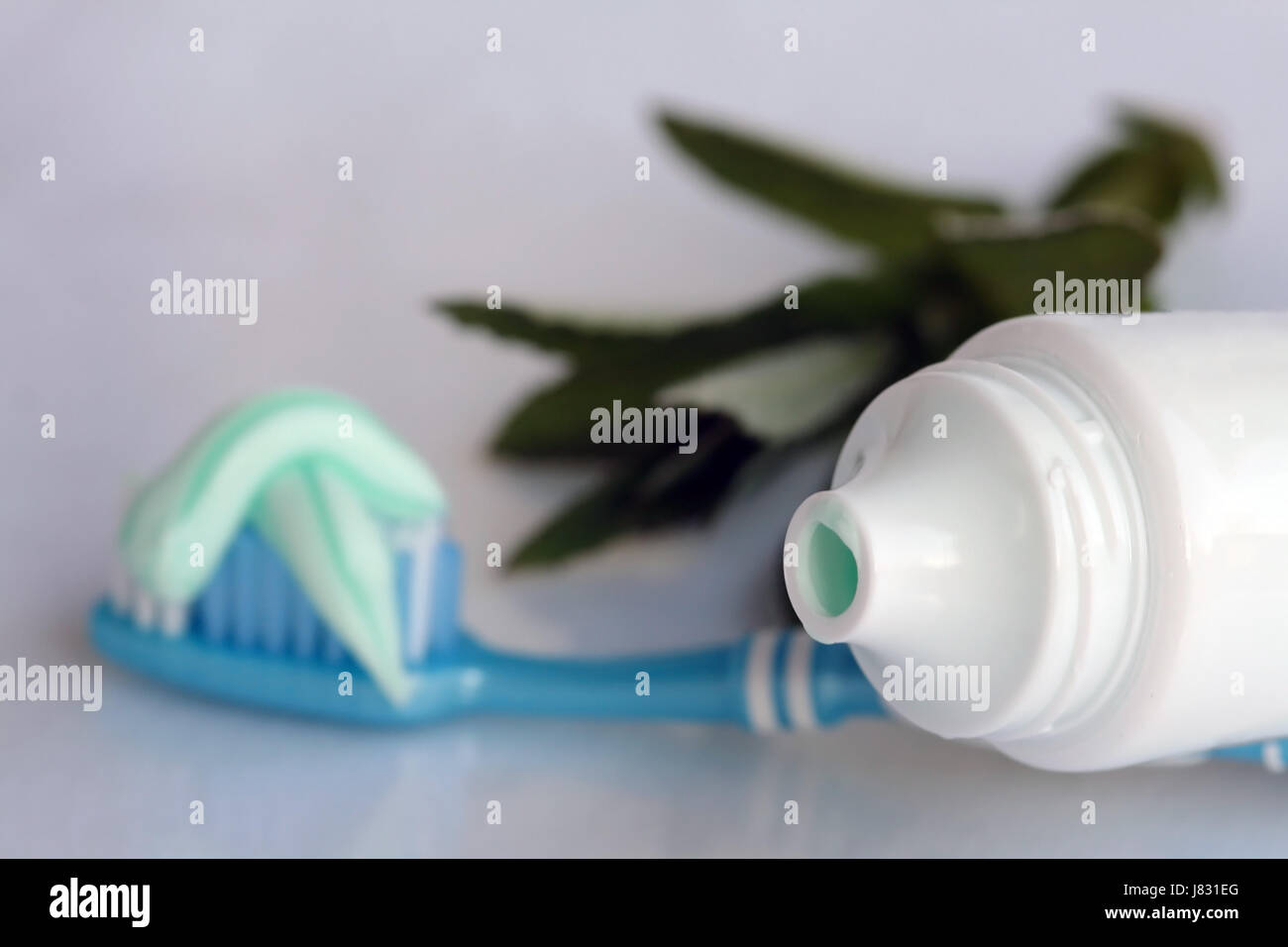 healthy teeth by regular brushing Stock Photo - Alamy