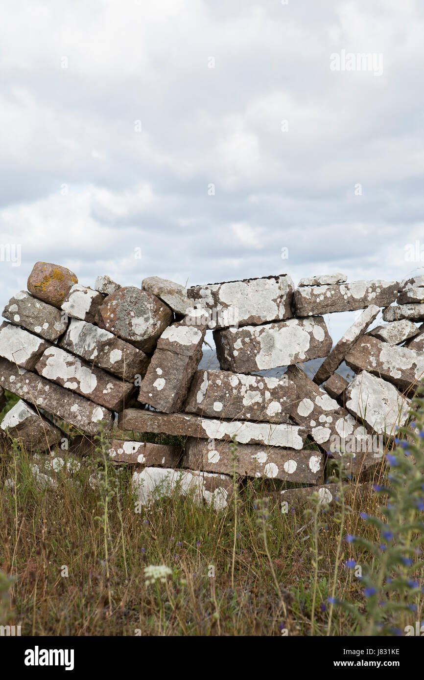 detail stone green agriculture farming cloud rock wall brick moss dry ...