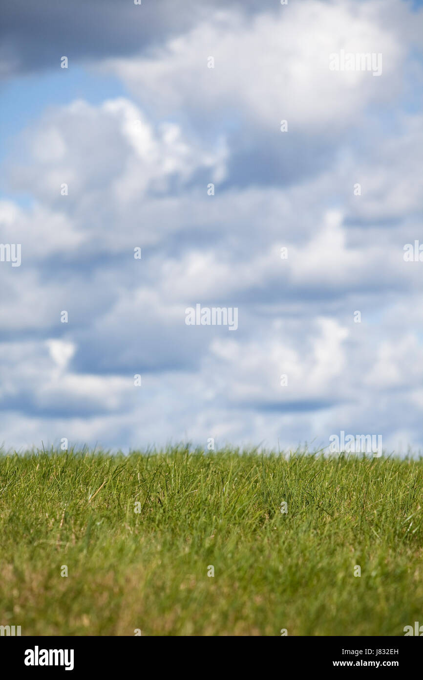 blue ground soil earth humus cloud field summer summerly freshness dirt ...