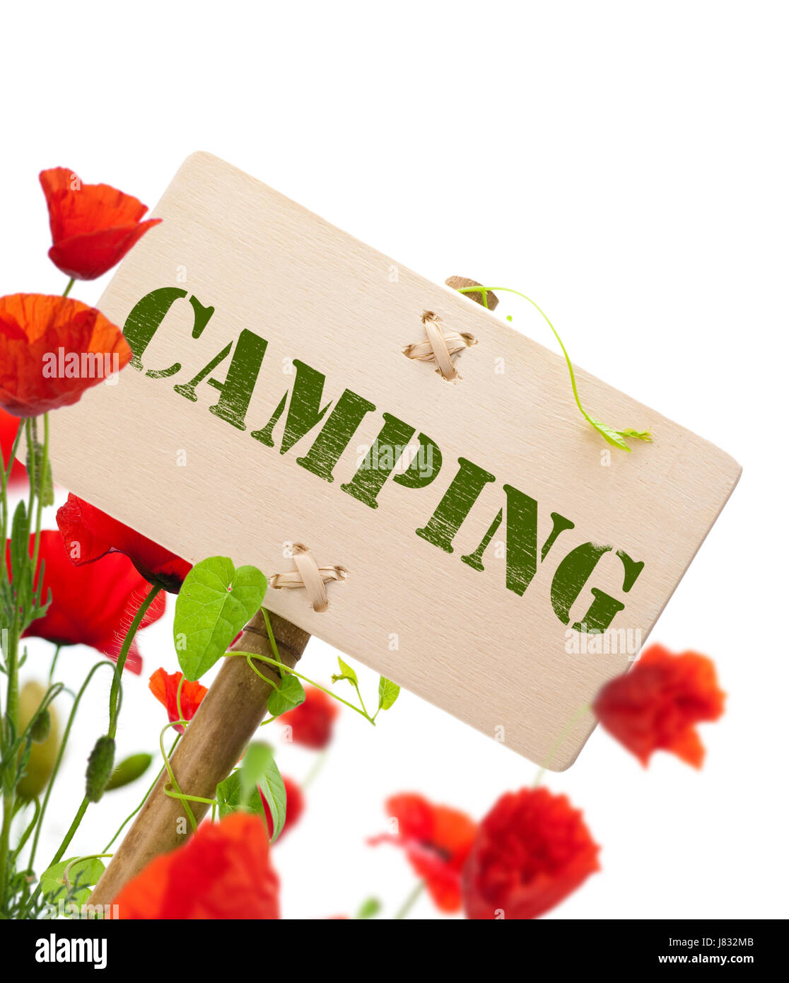camping sign lawn green nature isolated model design project concept ...
