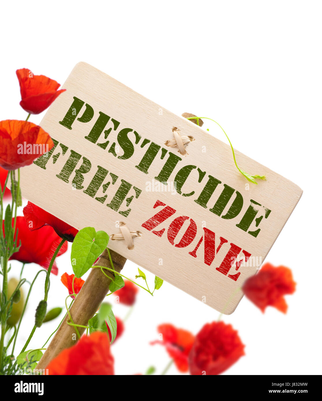 eco environment enviroment zone free sign pesticide lawn green ...