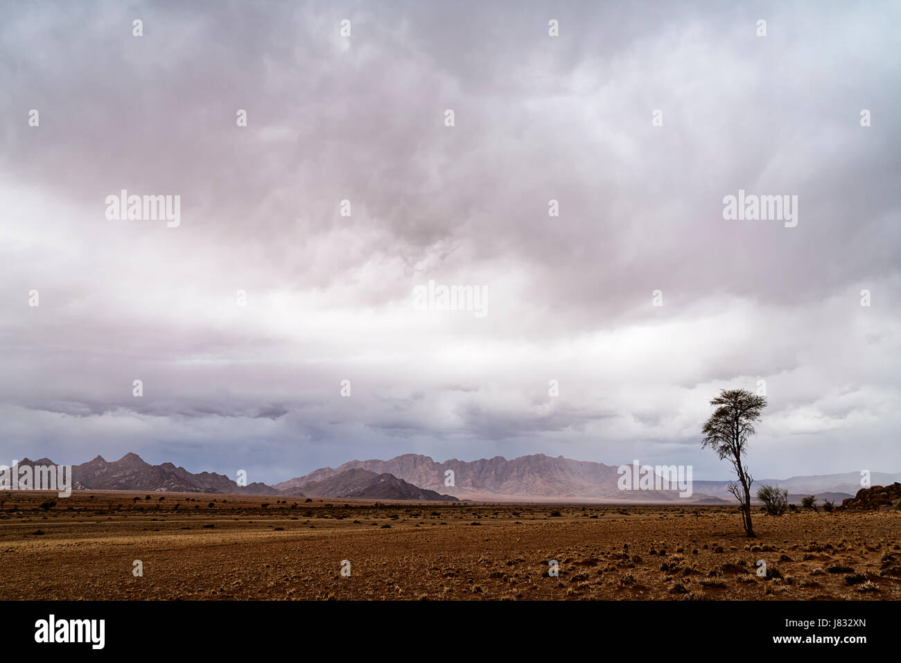 Desert Storm Stock Photos & Desert Storm Stock Images - Alamy