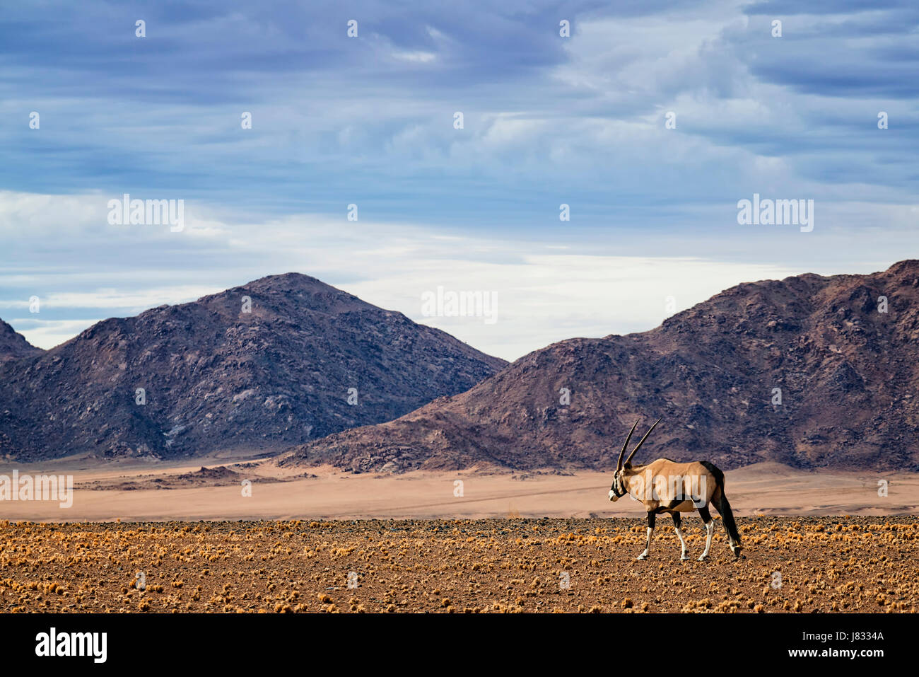 Oryx Rocks High Resolution Stock Photography and Images - Alamy