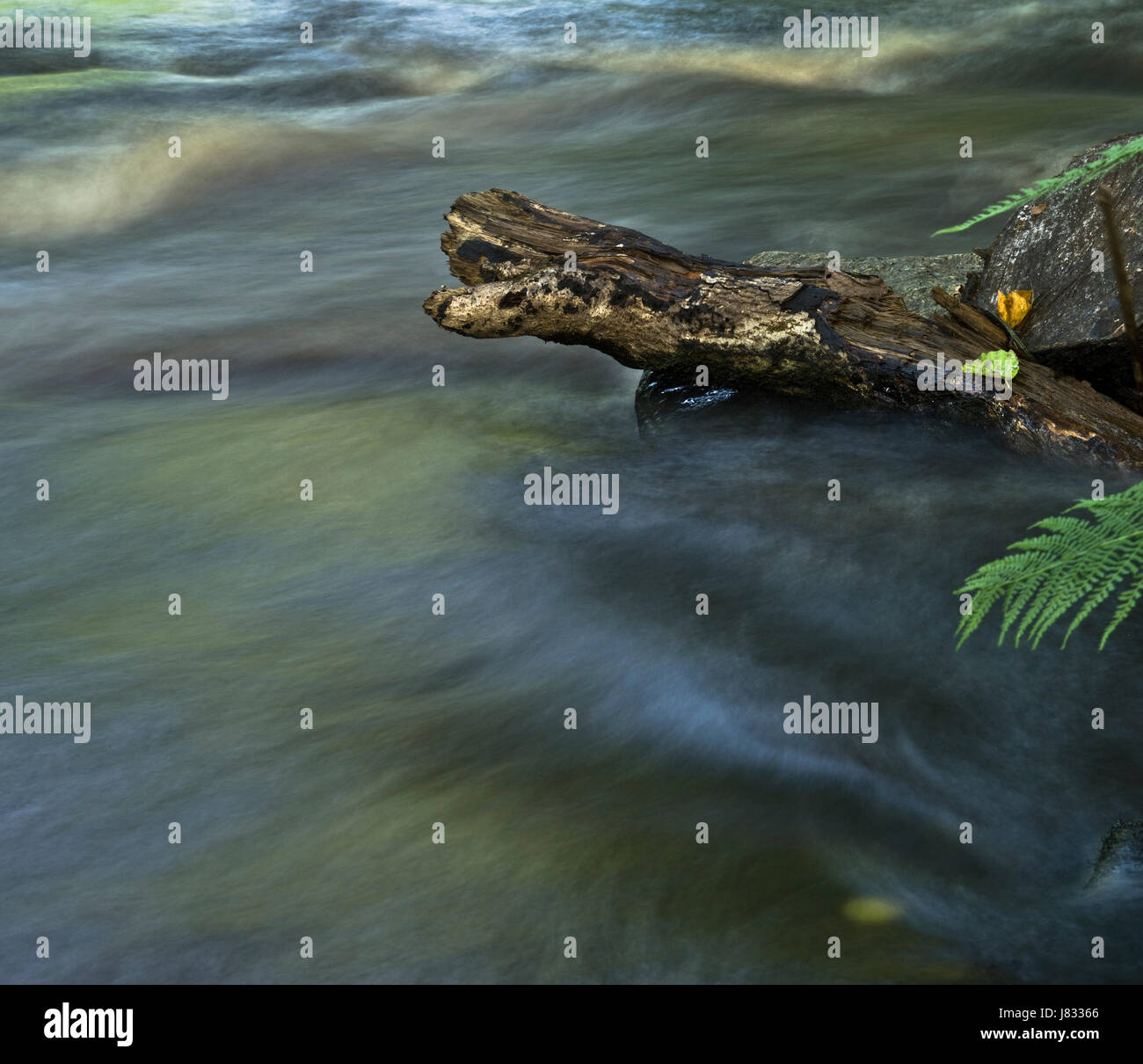 flow stream waterfall spring algae drop oasis england cool moss long ...