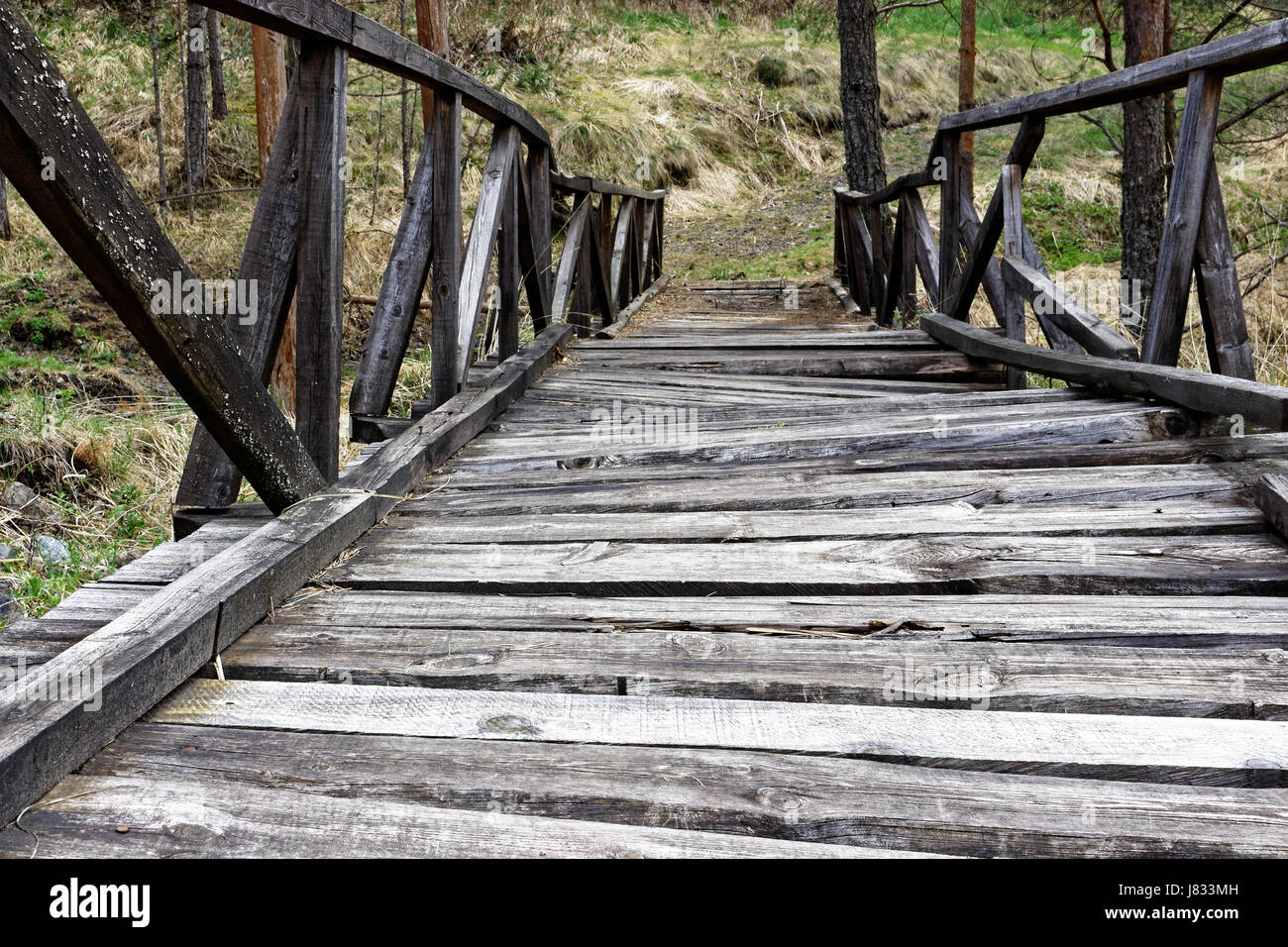 Bridge in nature hi-res stock photography and images - Alamy