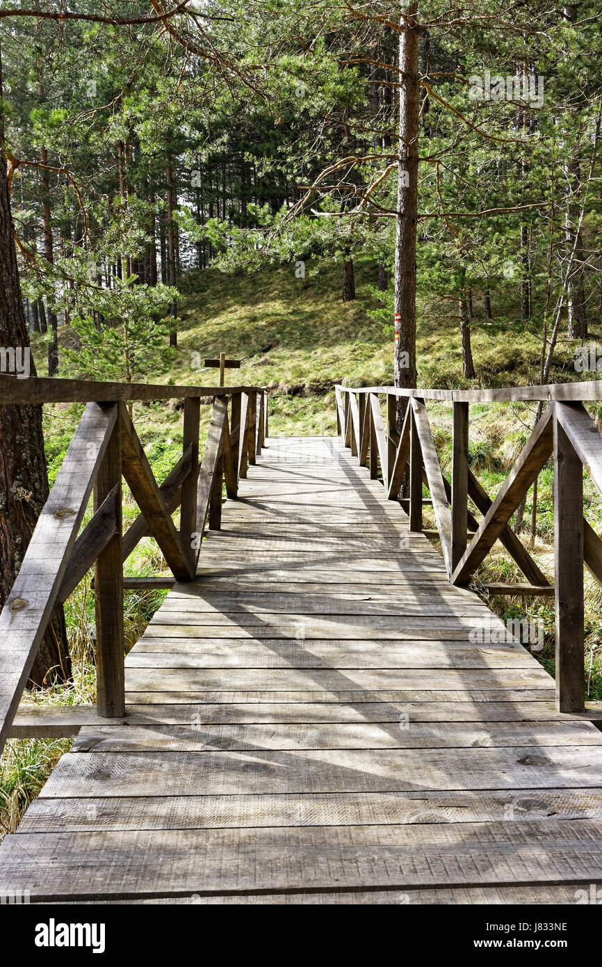 Bridge in nature hi-res stock photography and images - Alamy