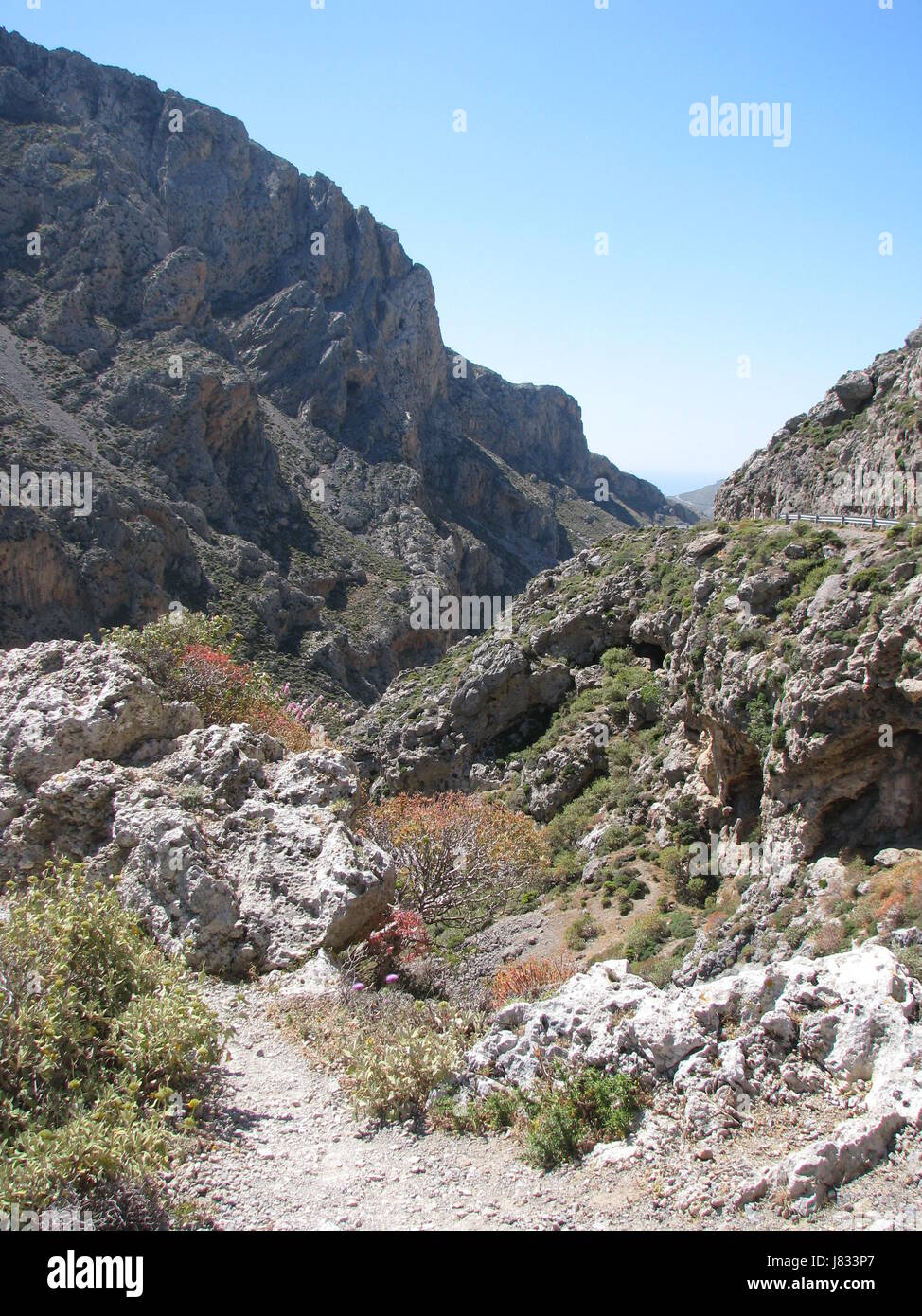 mountains,plant,hike,go hiking,ramble,rock,mountain tour,stones,macchia ...
