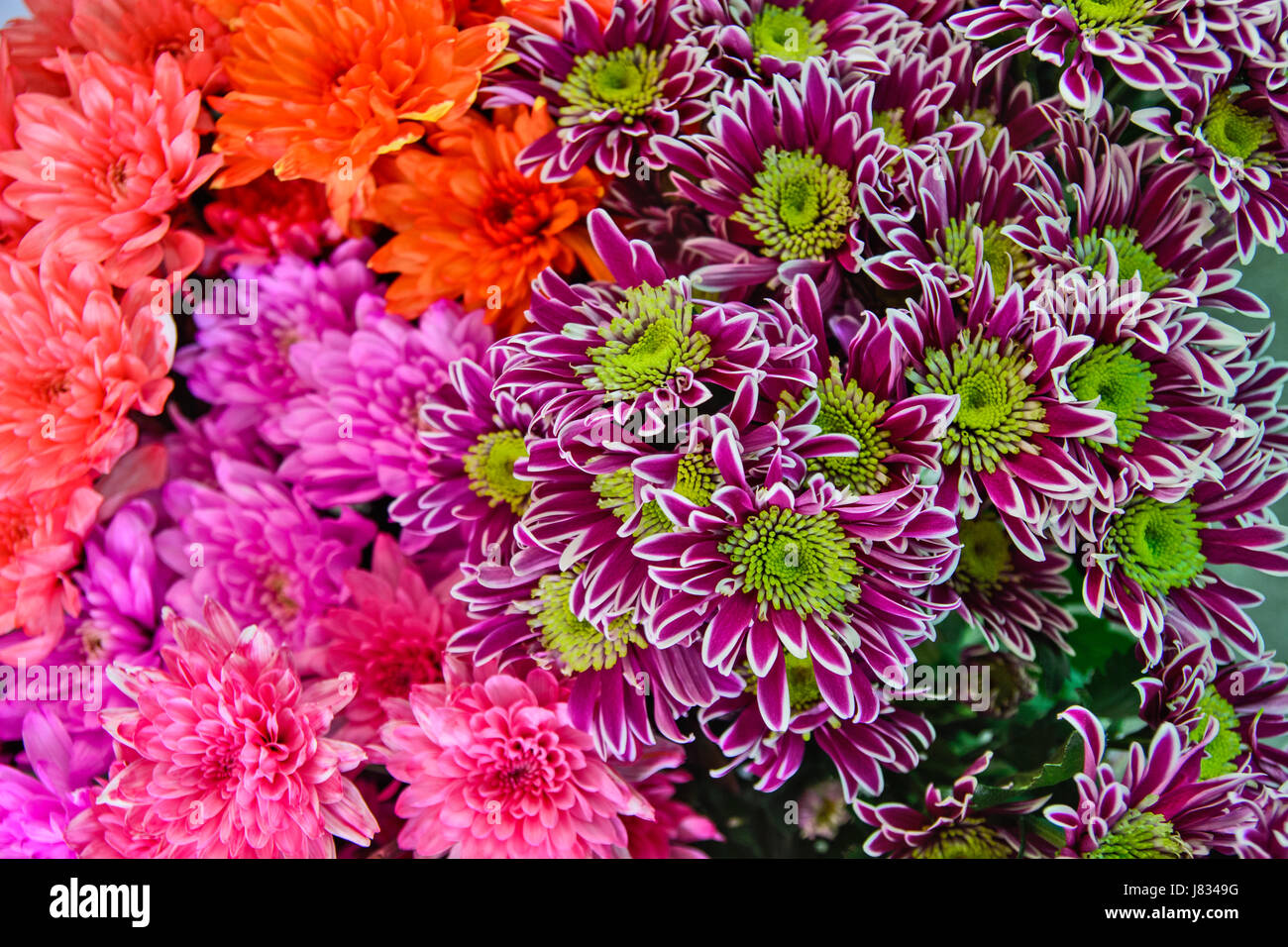 Beautiful, fragrant bouquet of colorful flowers at the market waiting ...