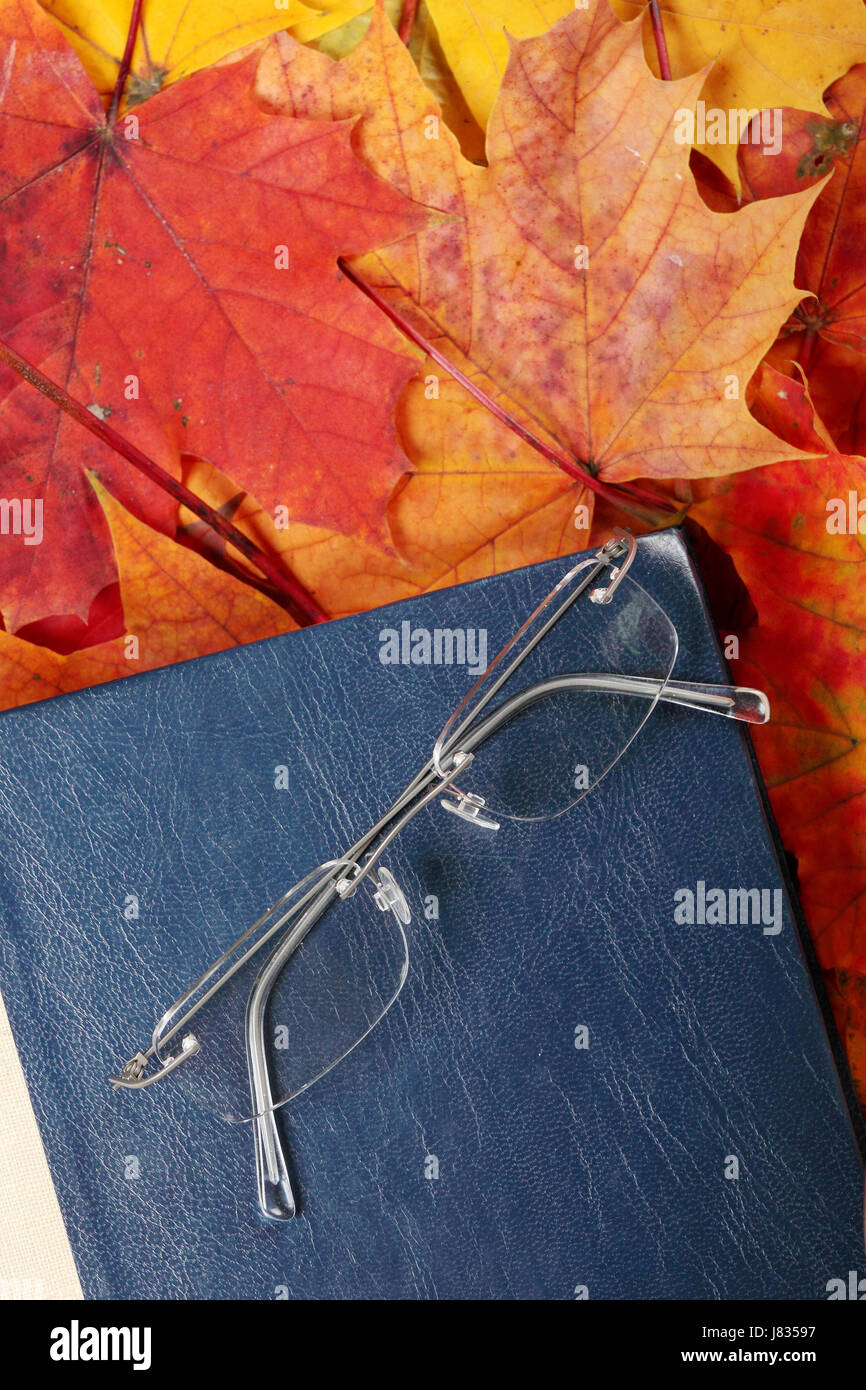 study leaf object education story art colour science antique brown ...