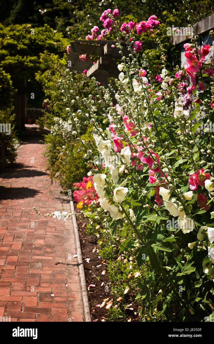 model design project concept plan draft garden flower flowers plant ...