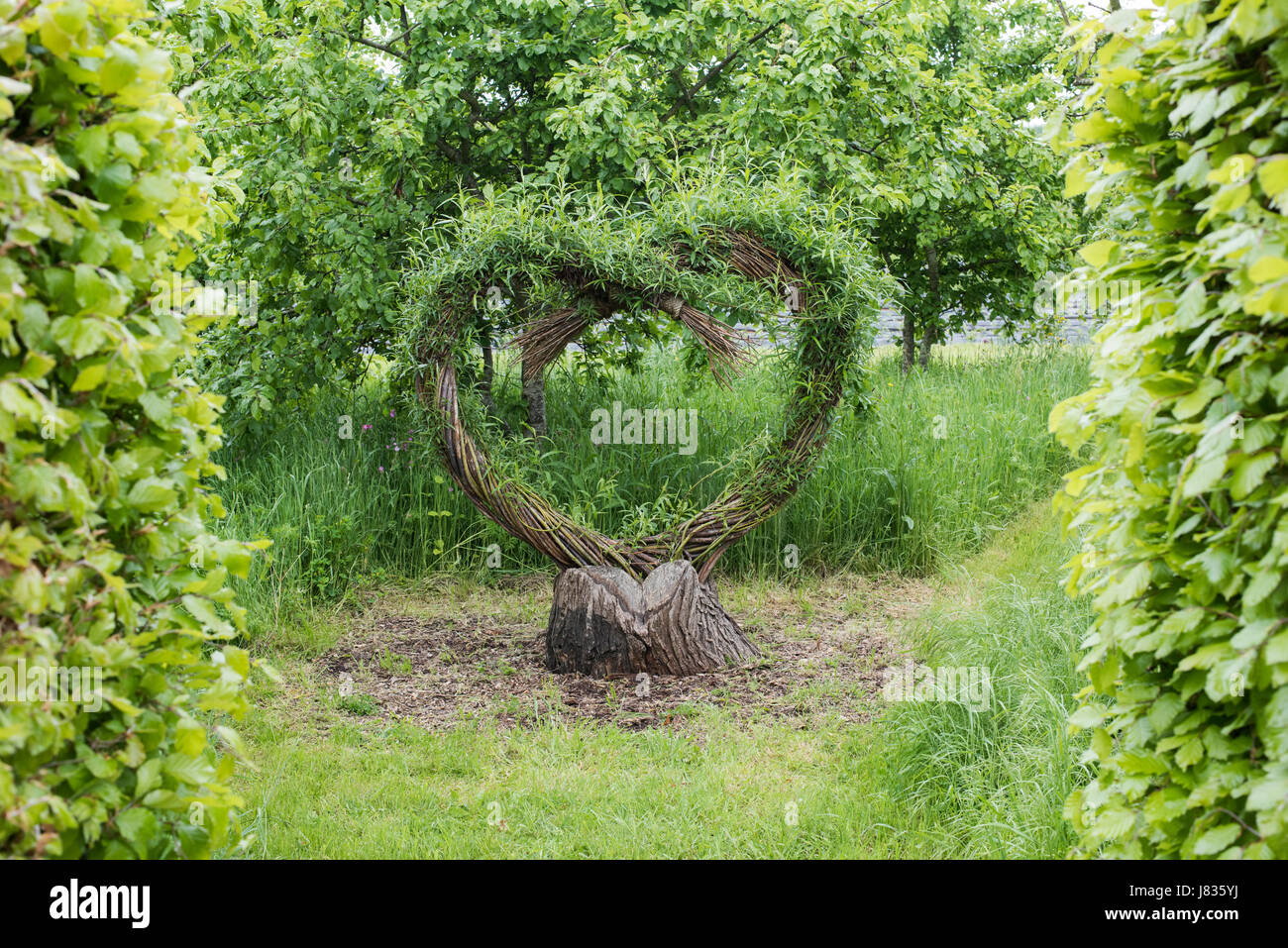 Living willow tree heart sculpture at Daylesford Organic farm summer ...