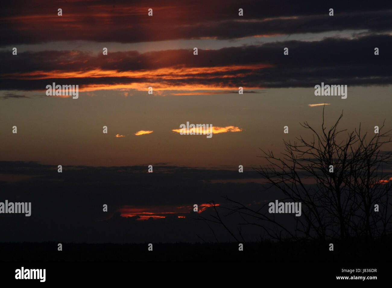 Fiery rays of the sun in the sky with colorful clouds at sunset Stock ...