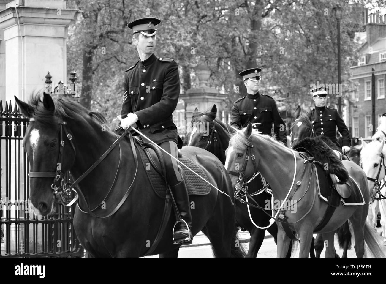 Royal guards riding in Black and White Stock Photos & Images - Alamy