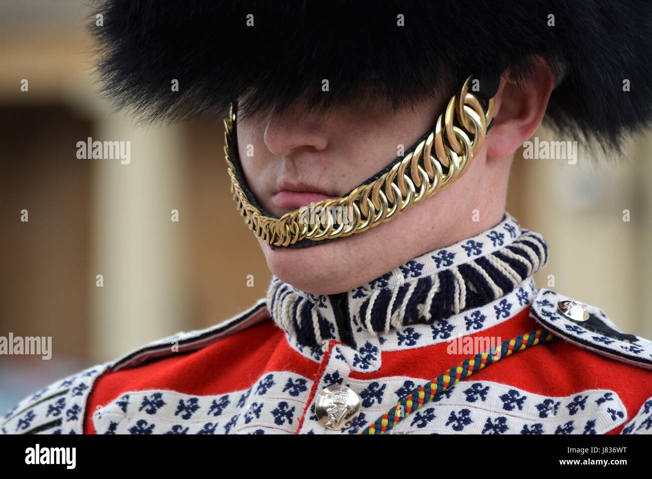 Uk armed forces hi-res stock photography and images - Alamy