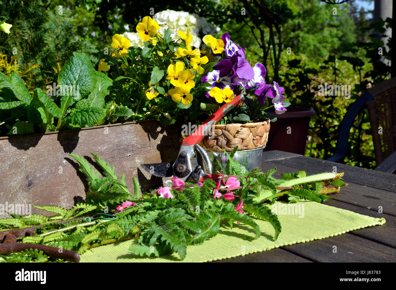 romantic garden terrace decoration Stock Photo - Alamy
