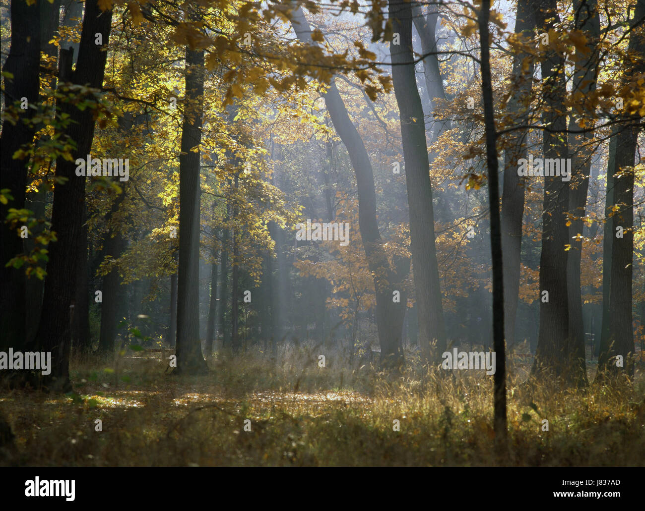 Hungary colours hi-res stock photography and images - Alamy
