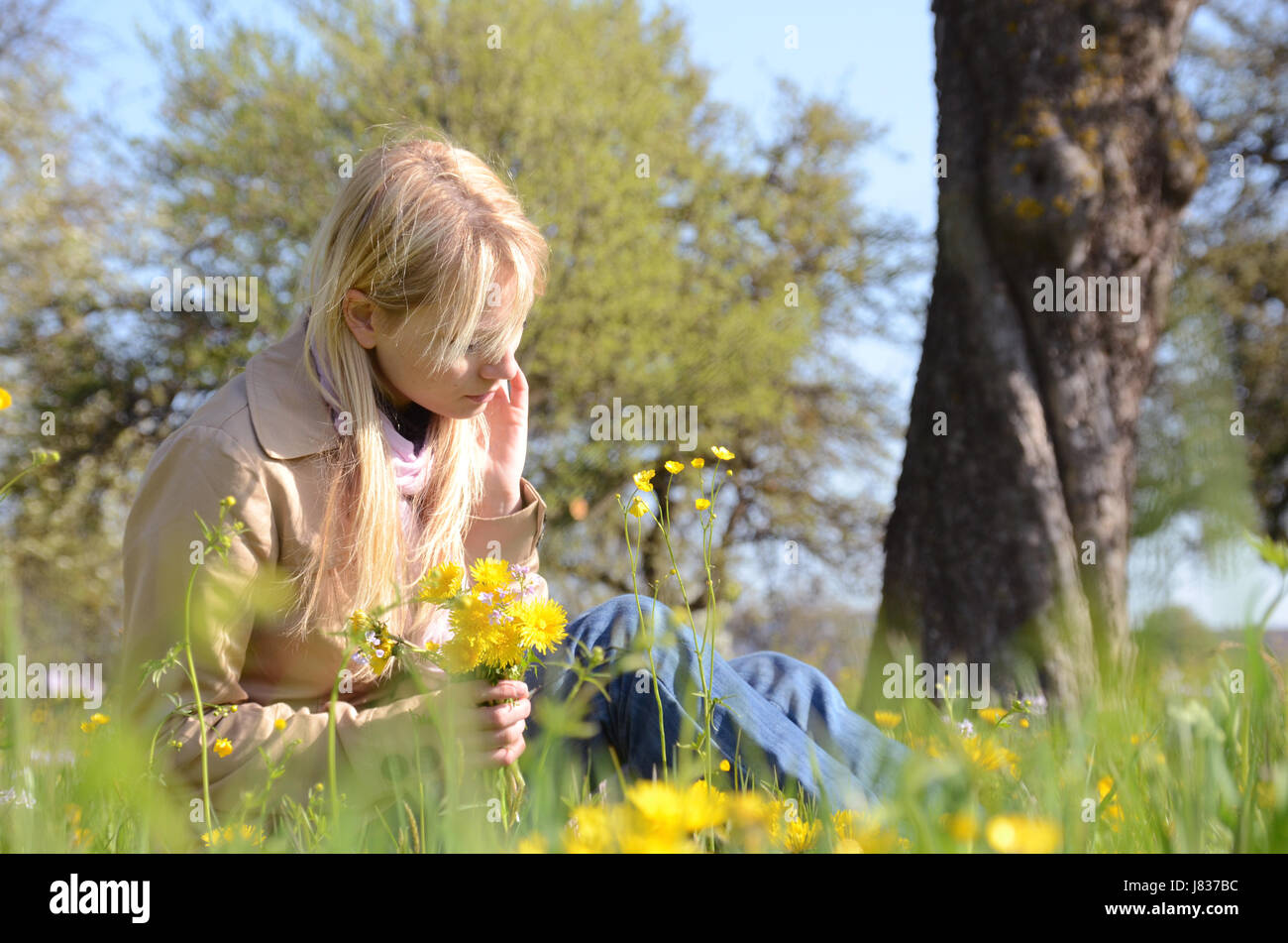 woman picking flowers Stock Photo - Alamy