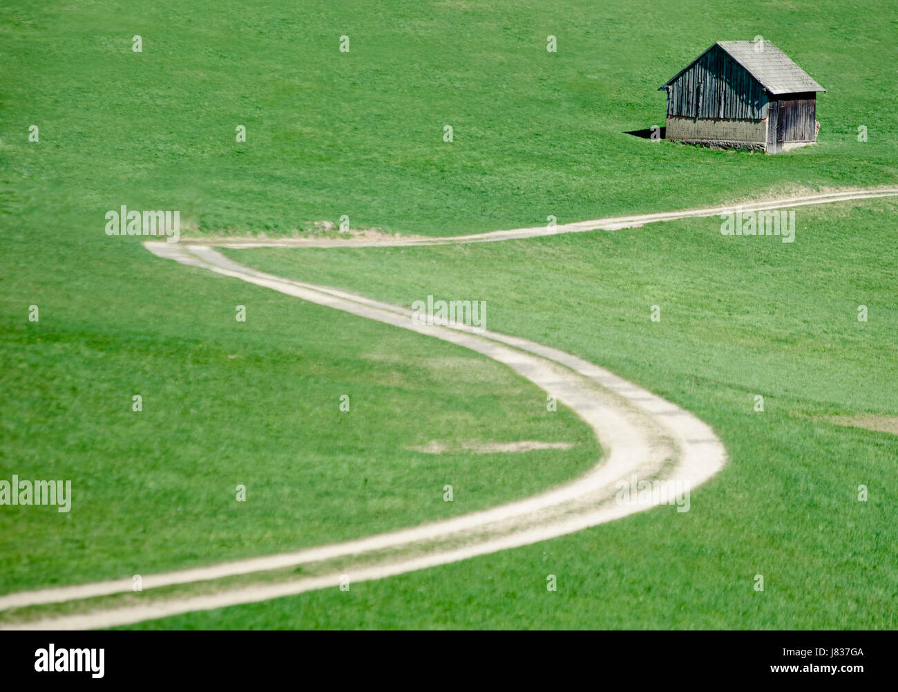 outdoor solitude country crooked warped hunchbacked humpbacked bowed ...