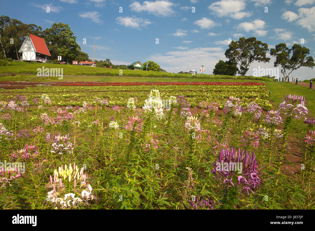 blue environment enviroment colour horizon space ground soil earth ...