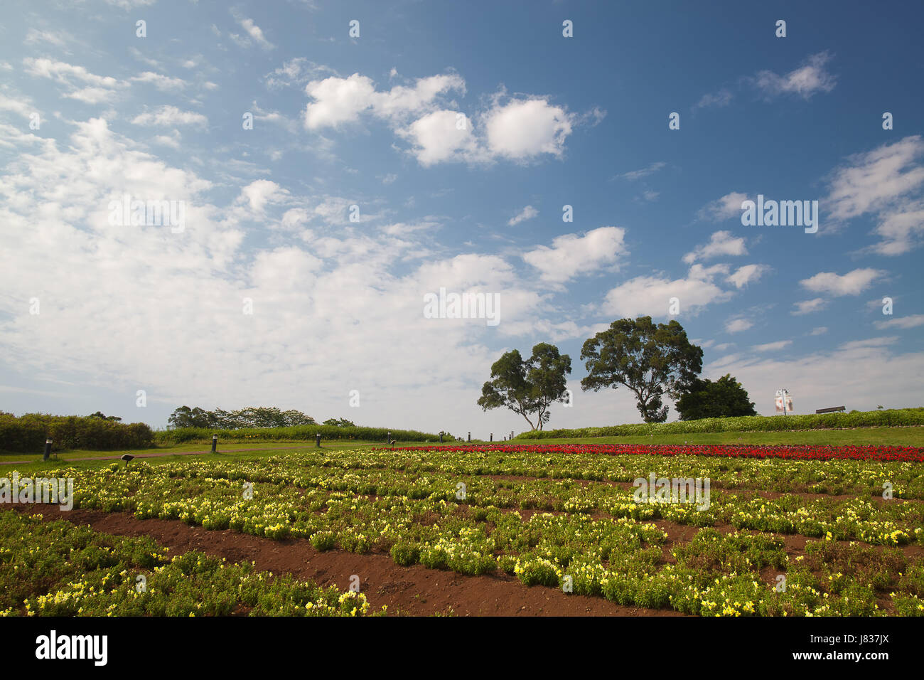 blue environment enviroment colour horizon space ground soil earth ...