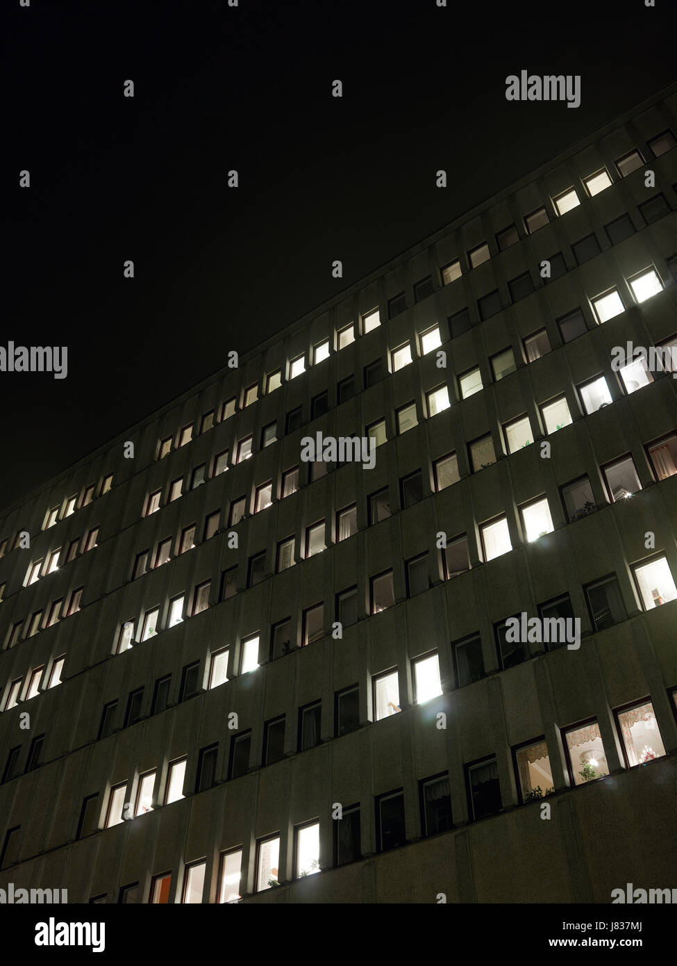 humans human beings people folk persons human human being house ...
