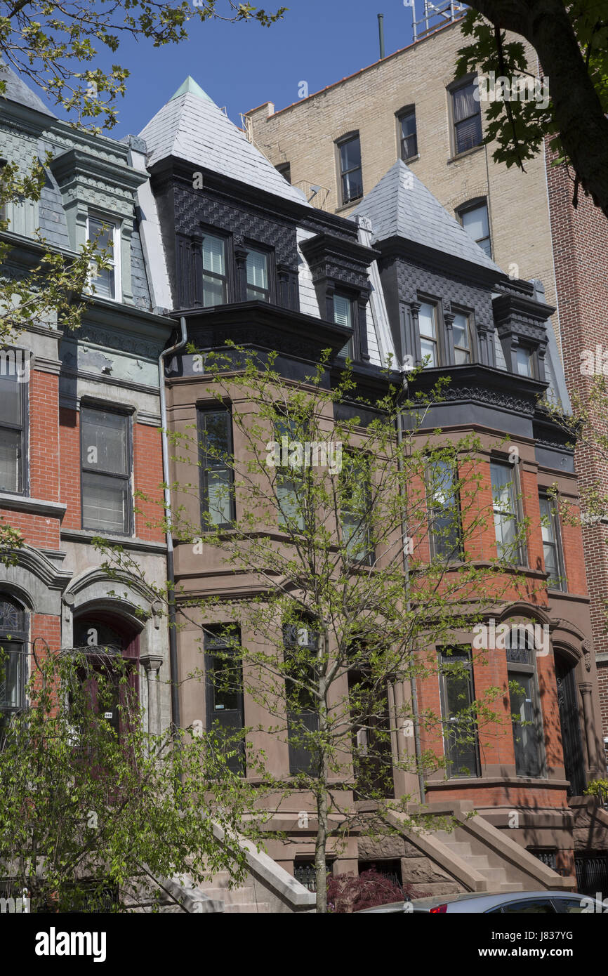 A stand of classic high stoop townhouses in the Park Slope neighborhood ...