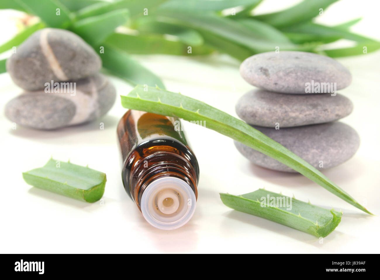 aloe vera drops with areas Stock Photo - Alamy