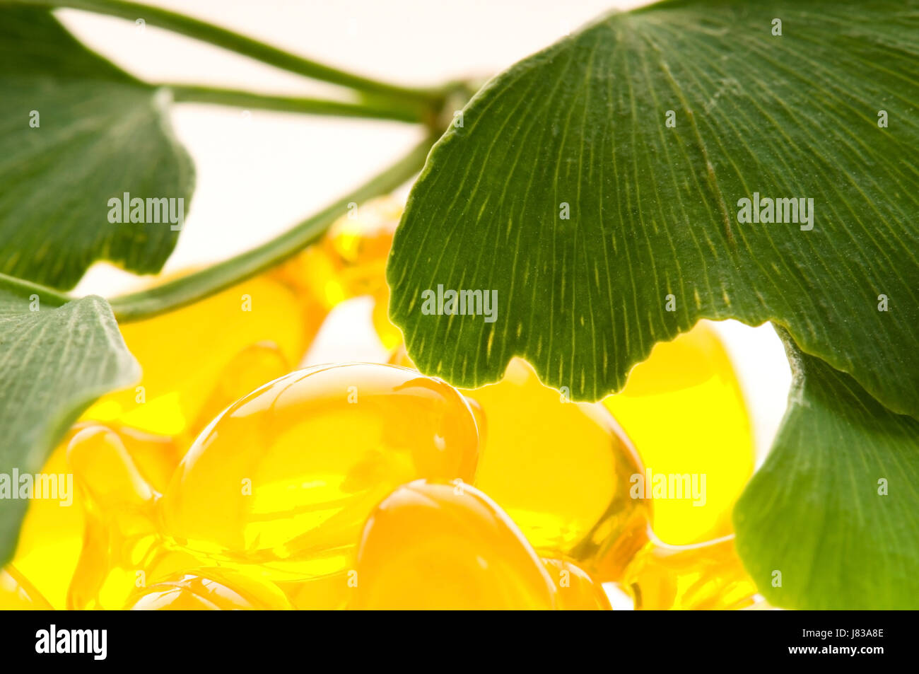 leaf cosmetics beauty care herb spa mineral spring medicinal spring oil ...