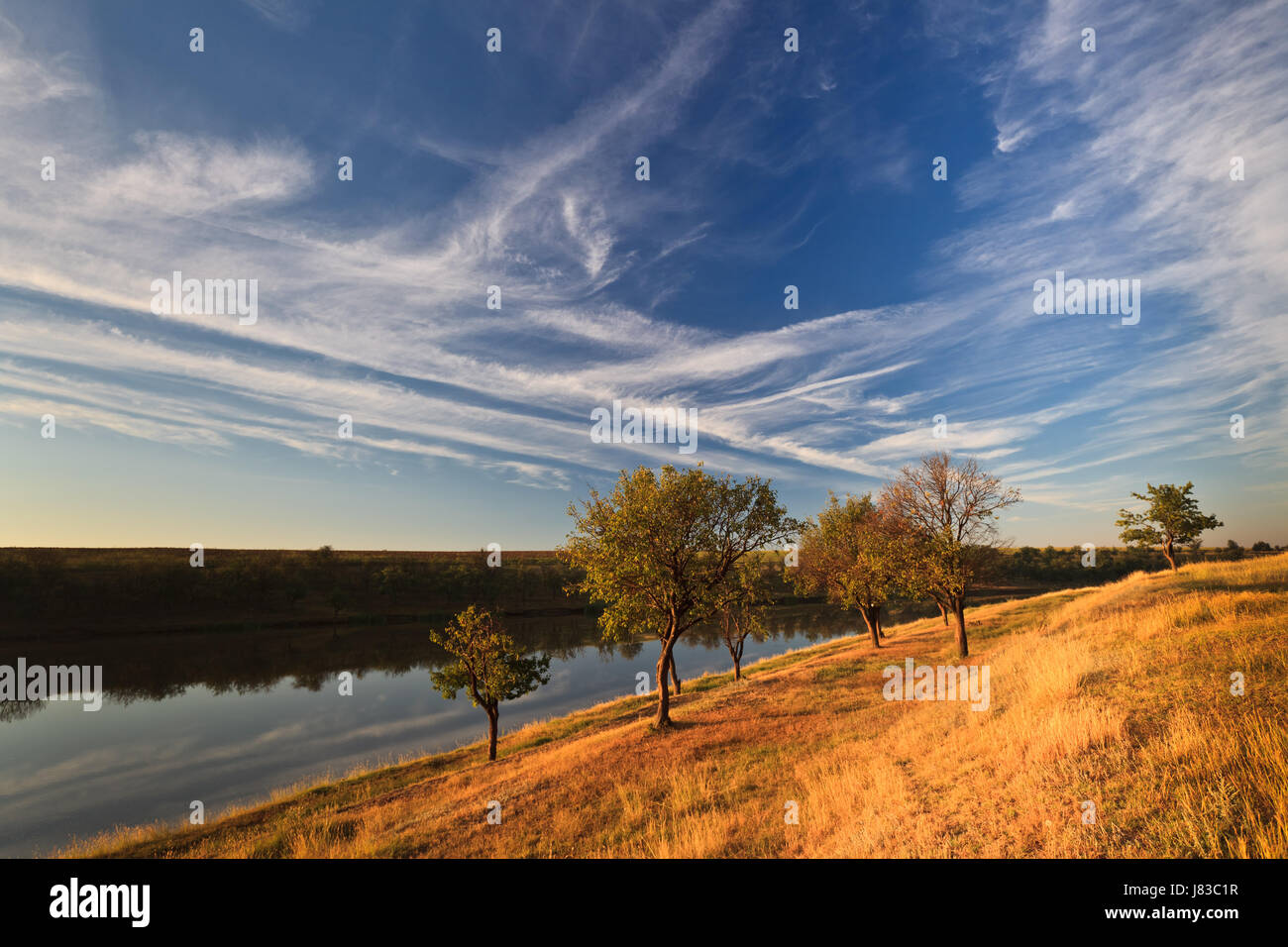 blue beautiful beauteously nice travel environment enviroment tree ...