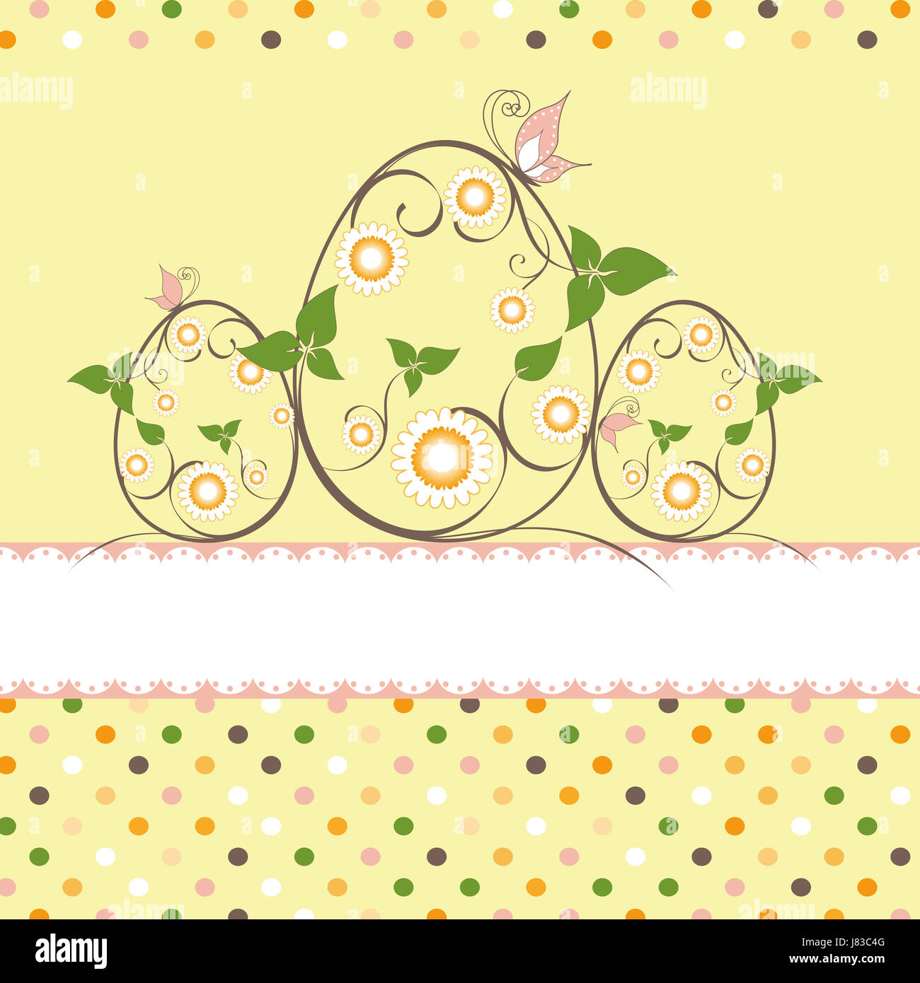 butterfly easter daisy greeting card backdrop background yellow flower ...