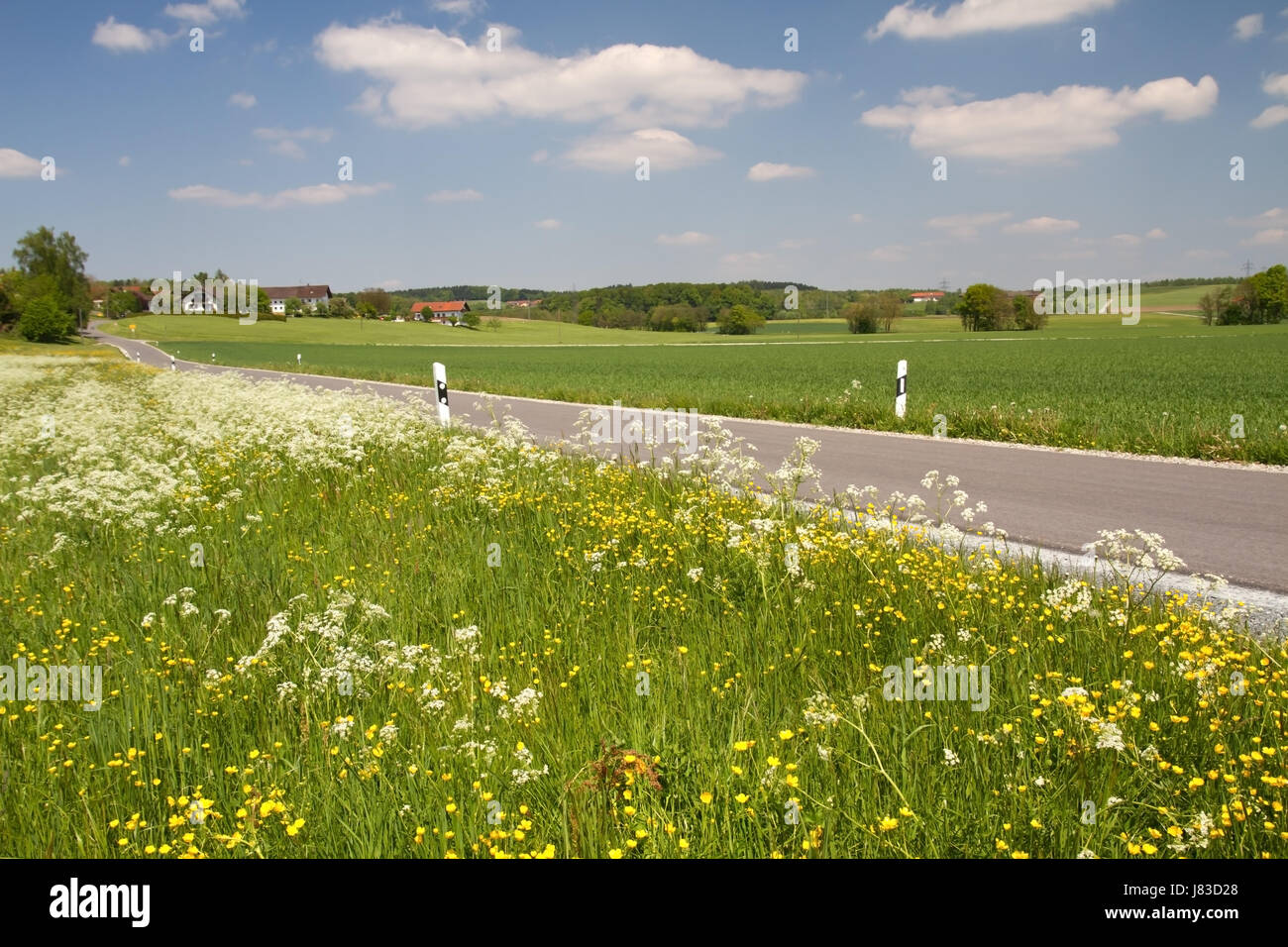 bavaria spring flourishingly meadow blue environment enviroment horizon ...