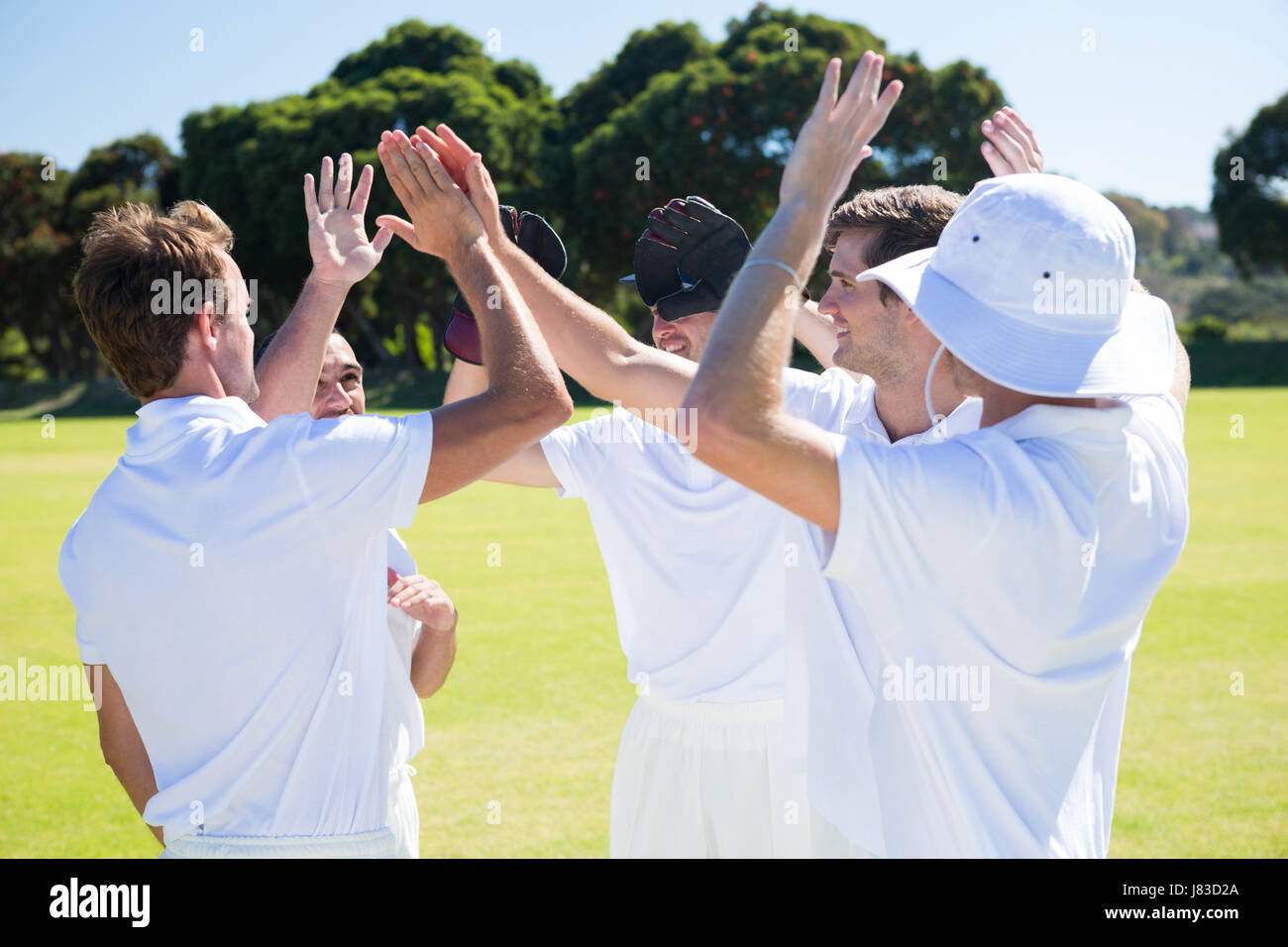 Smiling cricket players celebrating win hi-res stock photography and ...