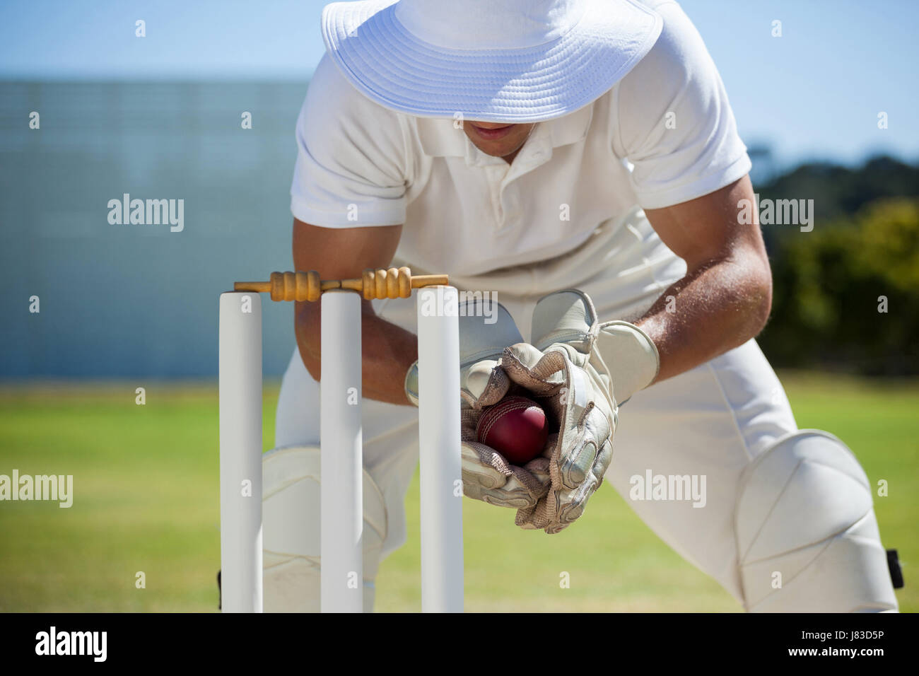 Wicketkeeper catching ball behind stumps on sunny day Stock Photo - Alamy