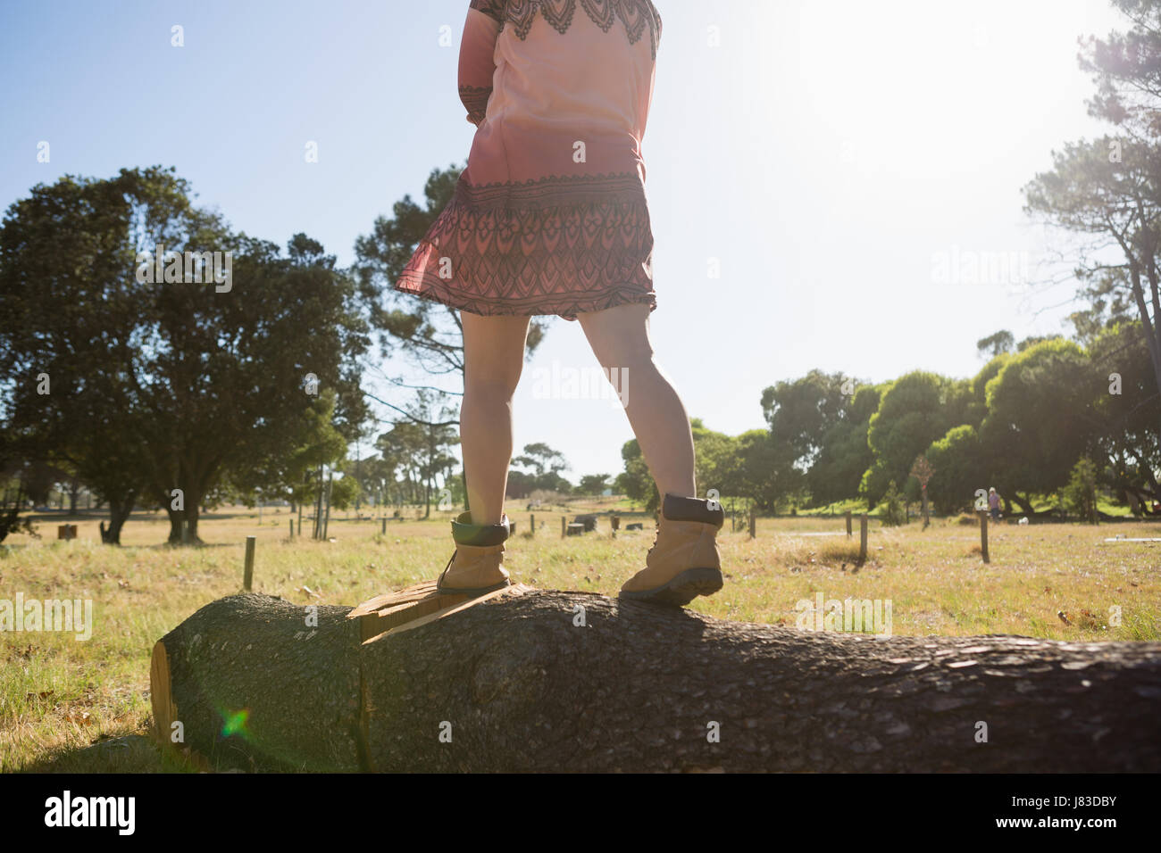 Low-section of woman walking on tree trunk in the park Stock Photo - Alamy