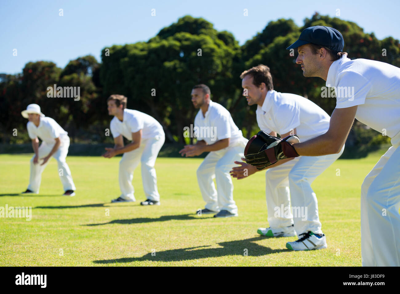 Sports venue professional sportsperson standing side by side hi-res ...