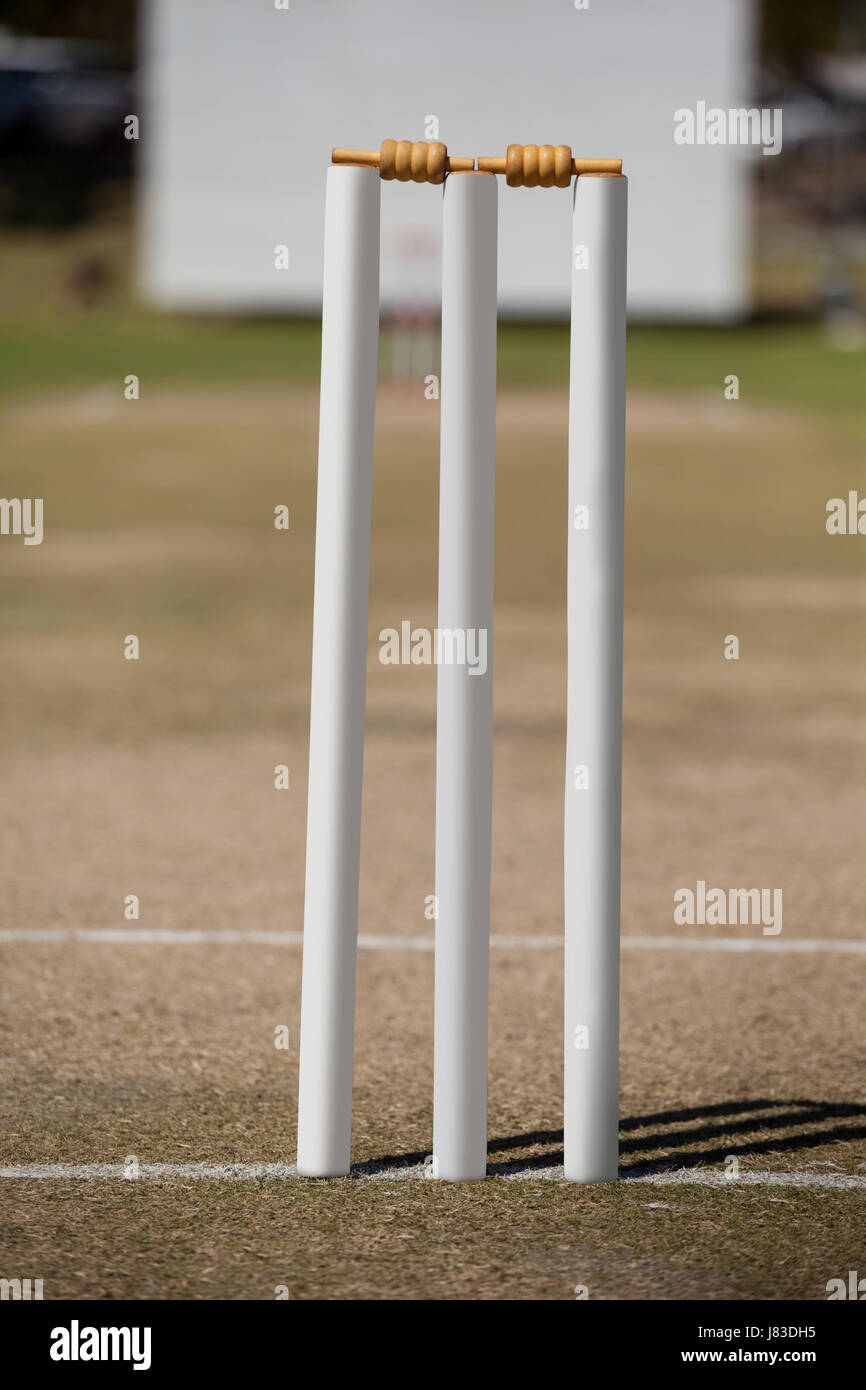 White stumps on cricket field during sunny day Stock Photo - Alamy