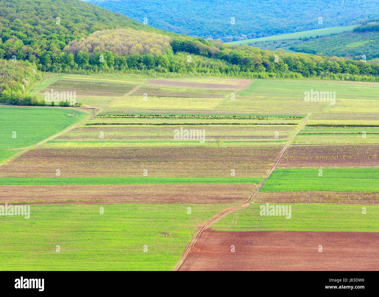 Colorful fields, spring country landscape. Ternopil region, Ukraine ...