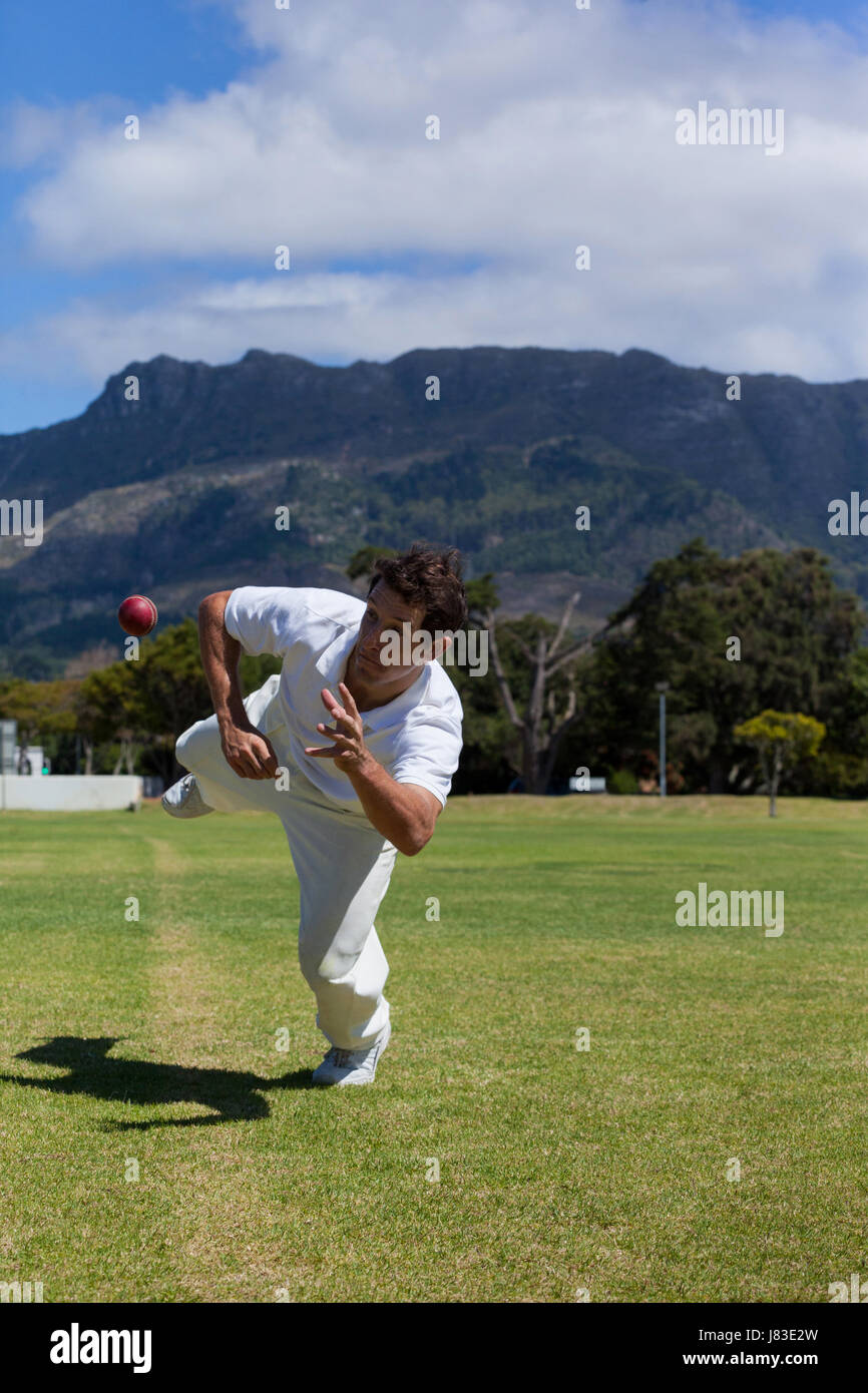 Cricket player catching ball hi-res stock photography and images - Alamy