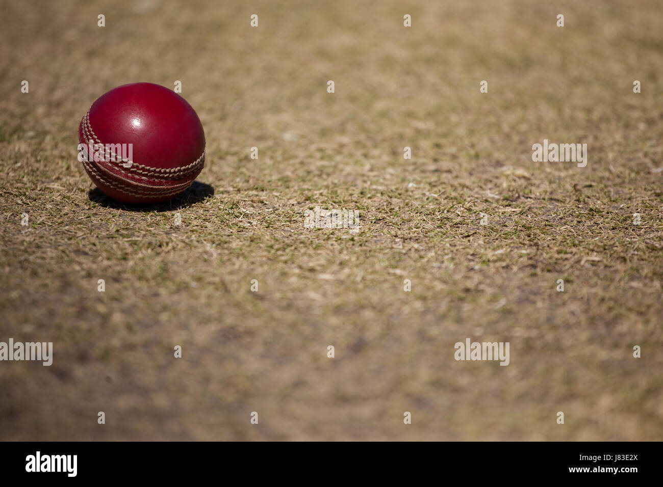 Cricket ball on pitch focus hi-res stock photography and images - Alamy