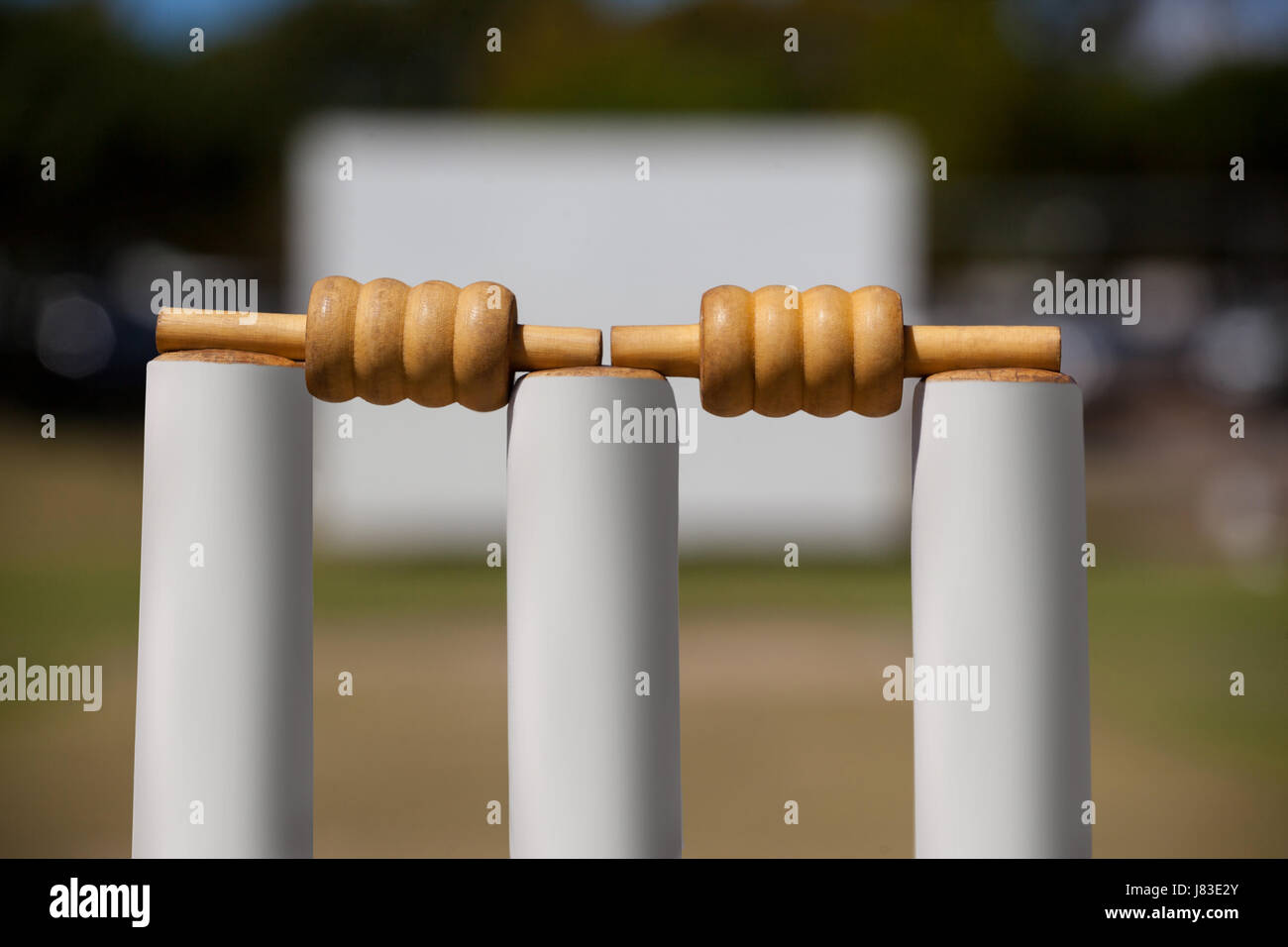 Close-up of bails on stumps at cricket field Stock Photo - Alamy