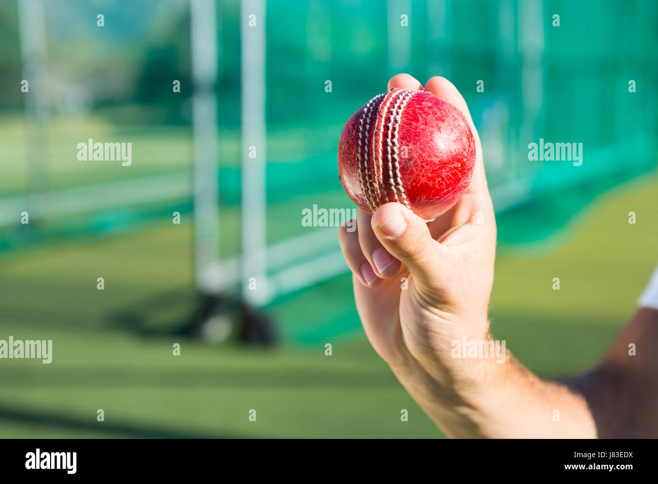 Close up of person holding cricket ball while standing at field Stock ...