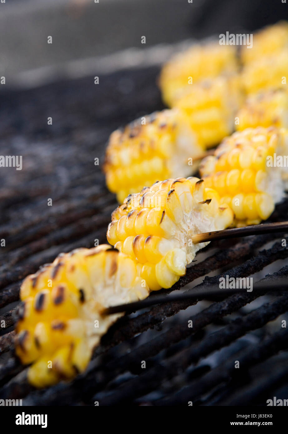 food aliment heat vegetable coal corn grill barbecue barbeque yellow ...
