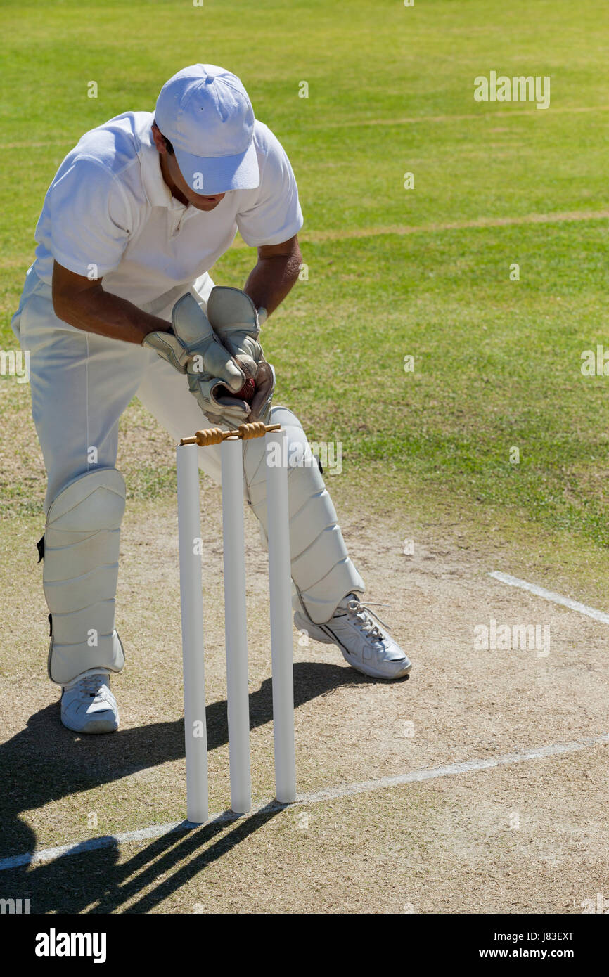 Full length stumps ball hi-res stock photography and images - Alamy