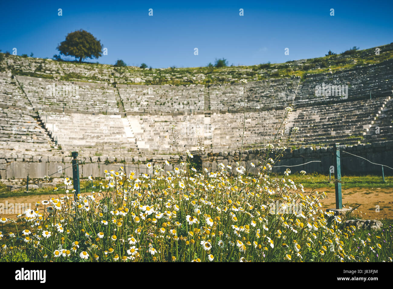 Dodoni ancient theater, Ioannina, Greece Stock Photo - Alamy