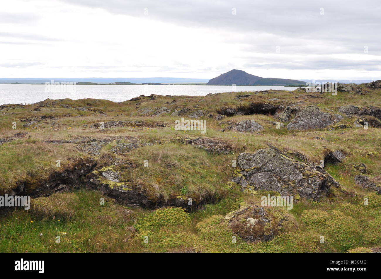 width iceland midges salt water sea ocean water bank shore eco width ...