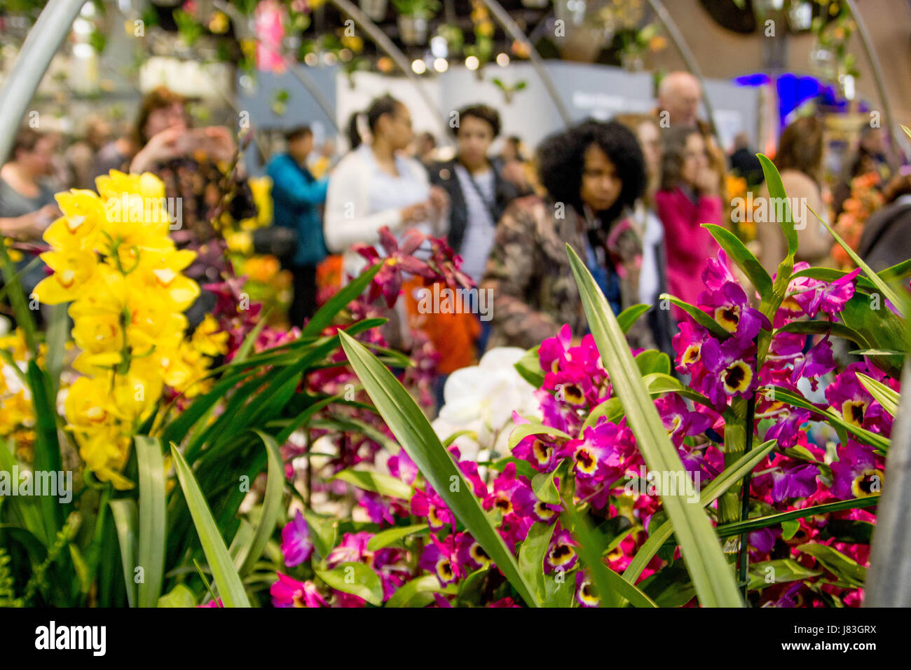 A large crowd attends the public opening of the Philadelphia Flower ...