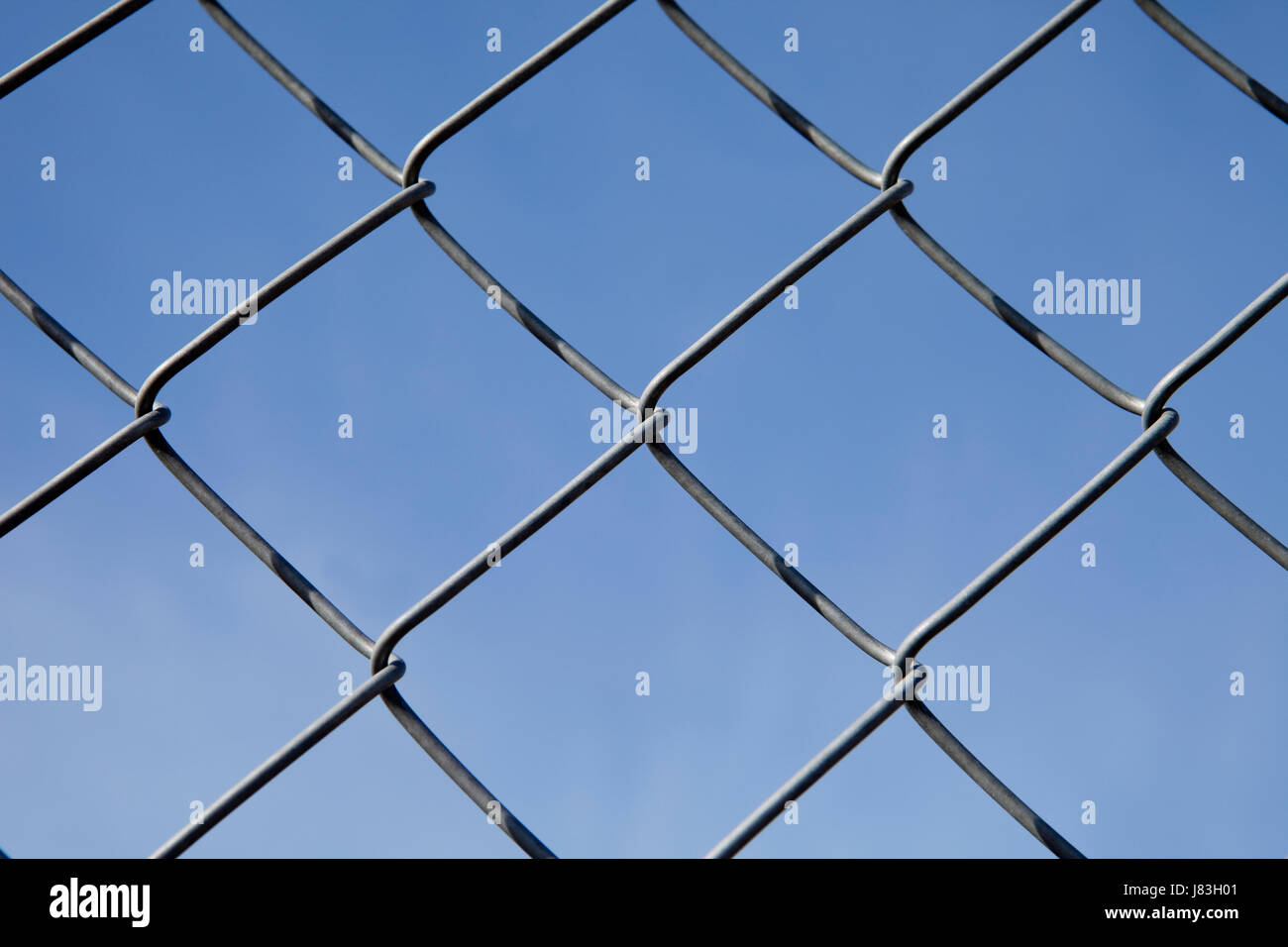 blue net steel fence fence in fencing pattern enclosure corral ...