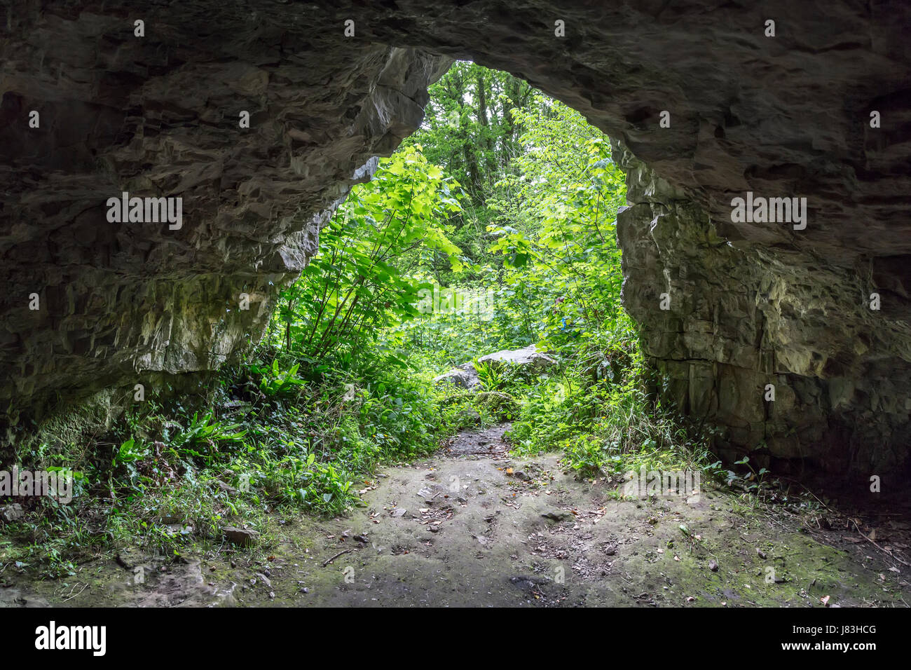 Cat Hole Cave, Green Cwm, Gower, Wales, UK Stock Photo - Alamy