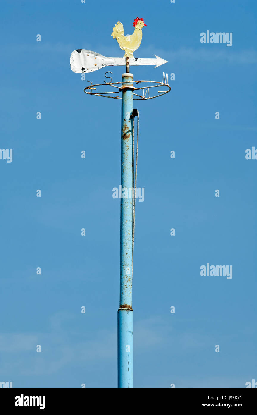 weathercock wind direction wind gauge wind rose wind weather direction ...