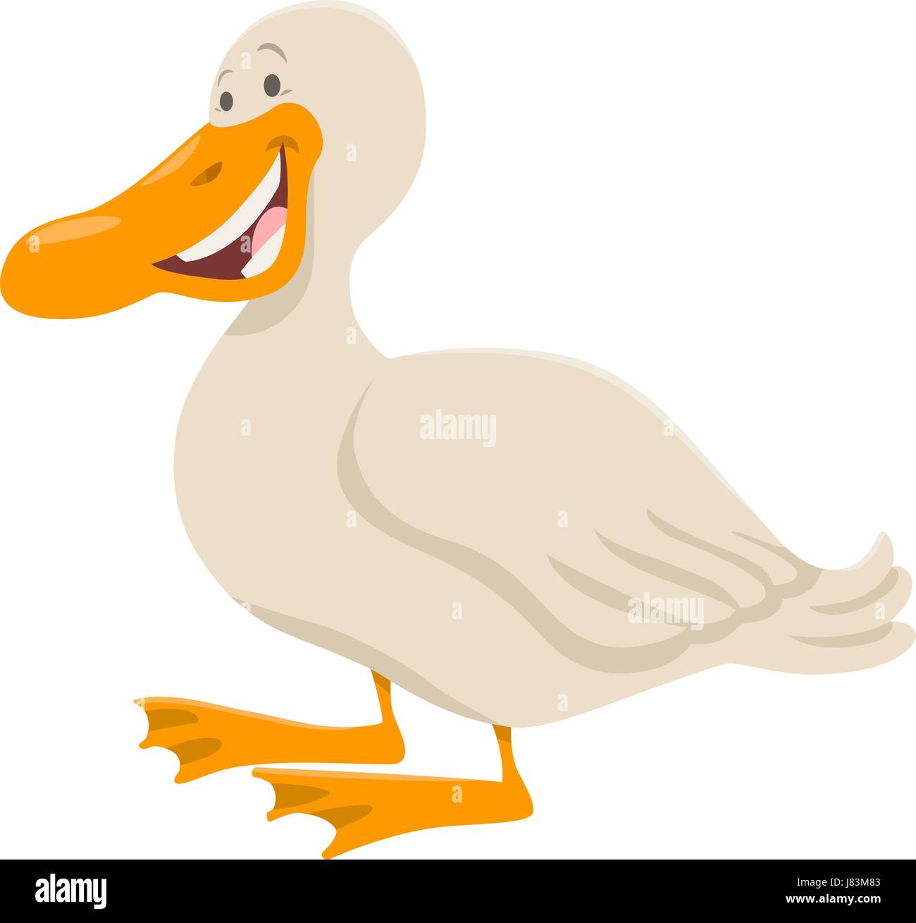 Cartoon Illustration of White Duck Bird Farm Animal Character Stock ...